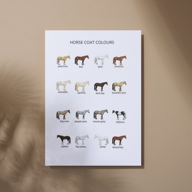 Horses Horse - Etsy