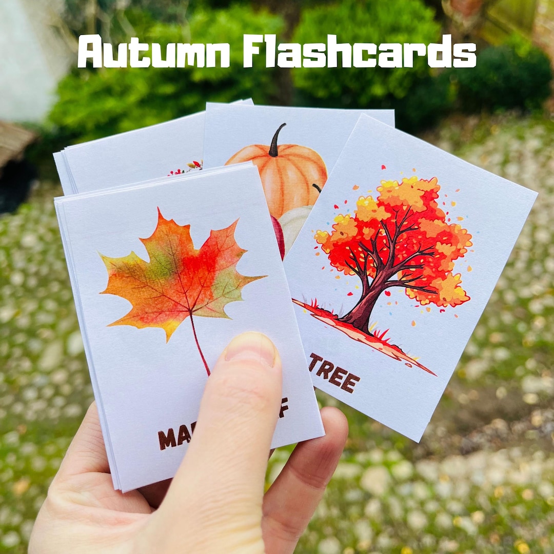 24 Printable Autumn Flashcards for Kids Fall Image Cards Montessori ...