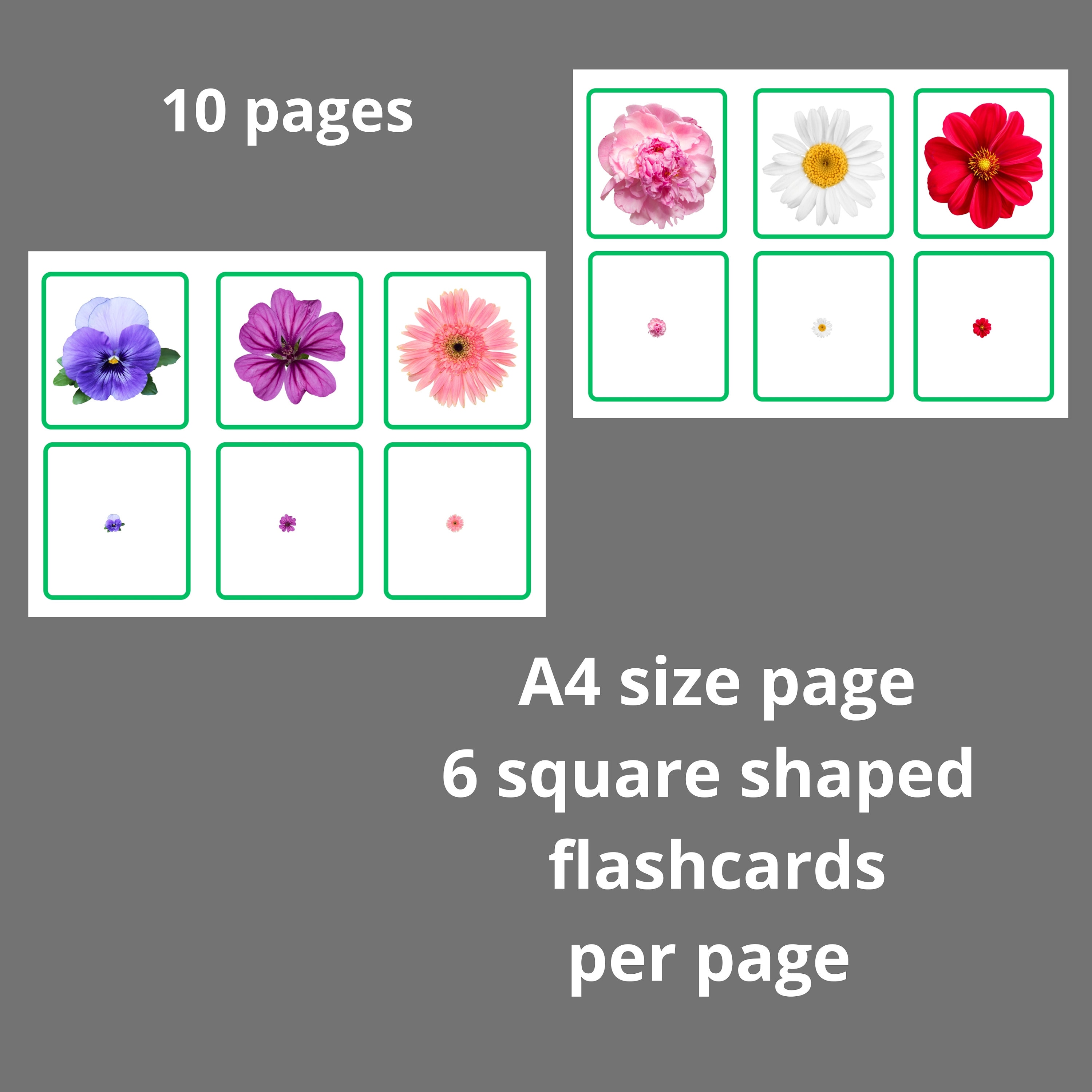 Flowers Magnifying Glass Matching Game, Montessori Preschool Activity ...