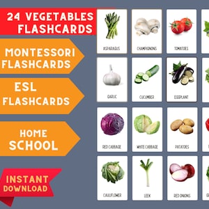 Vegetable Flashcards for Toddlers | Montessori Nomenclature Cards ...