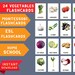 Vegetable Flashcards for Toddlers Montessori Cards Vegetables ...
