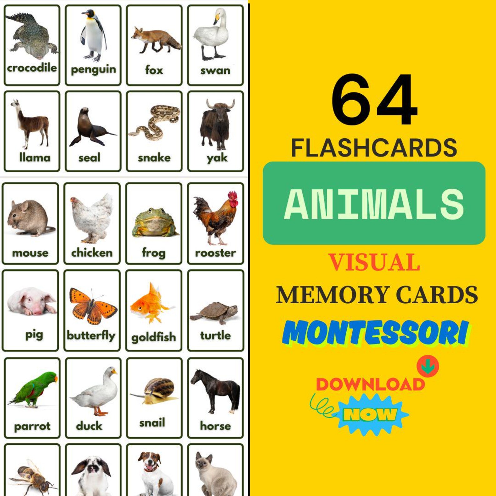 Animals Flashcards for Kids, Animal Vocabulary Cards, Montessori ...