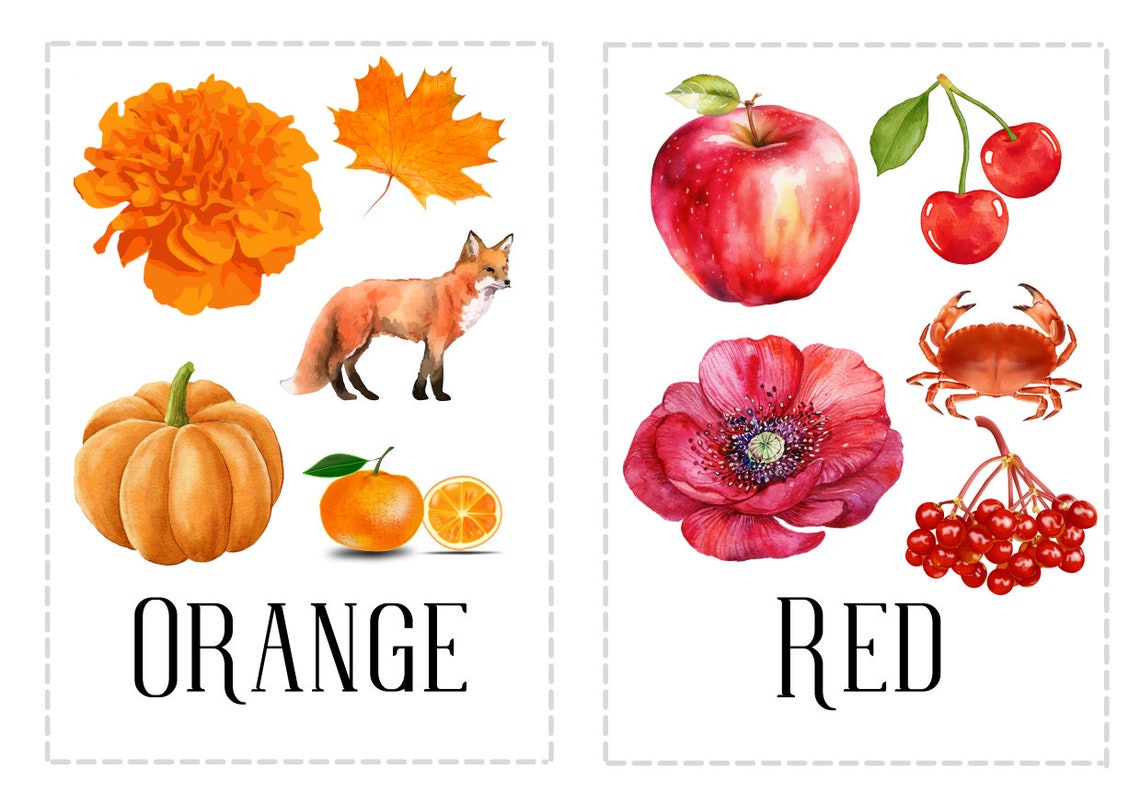 Colors in Nature Flash Cards, Montessori Learning (PDF). - Etsy