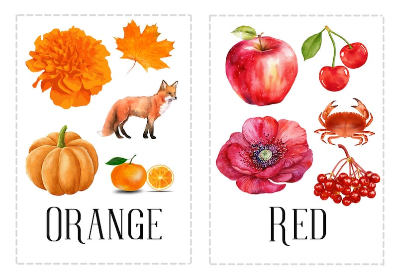 Colors in Nature Flash Cards for Kids, Montessori English PDF Teaching ...