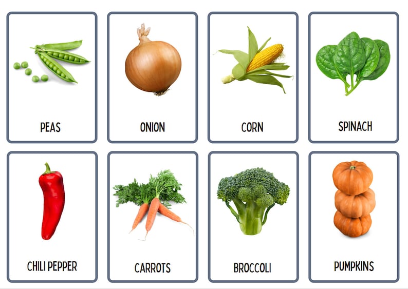 Food Flashcards Bundle, ESL Printable, 136 Cards (digital Download) - Etsy