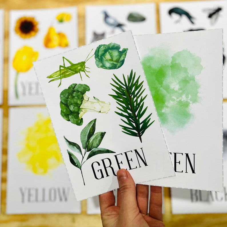 Colors in Nature Flash Cards for Kids, Montessori English PDF Teaching ...