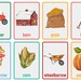 Farm Flash Cards on the Farm for Kids Farm Tools Farm Animals Farm Life ...