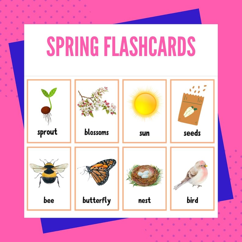 Spring Vocabulary Flashcards, English Learning Cards (PDF) - Etsy