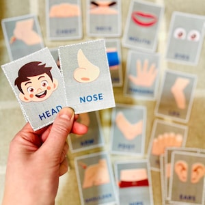 24 Body Parts Flashcards for Kids English Body Parts Body Parts Cards ...