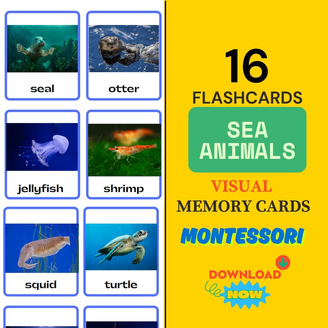 Sea Animals Flashcards With Real Photos Sea Animals Cards Sea Life ...