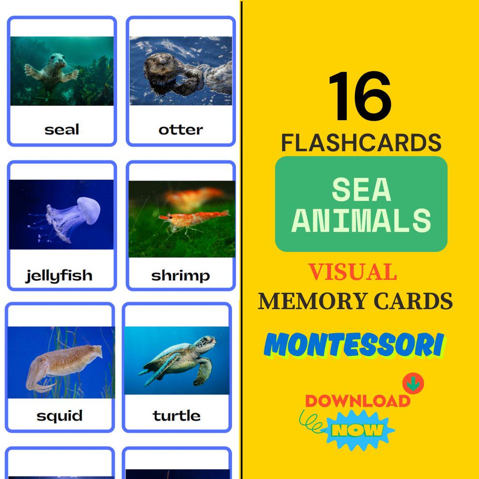 Sea Animals Flashcards: Montessori Real Photo Cards (digital Download ...