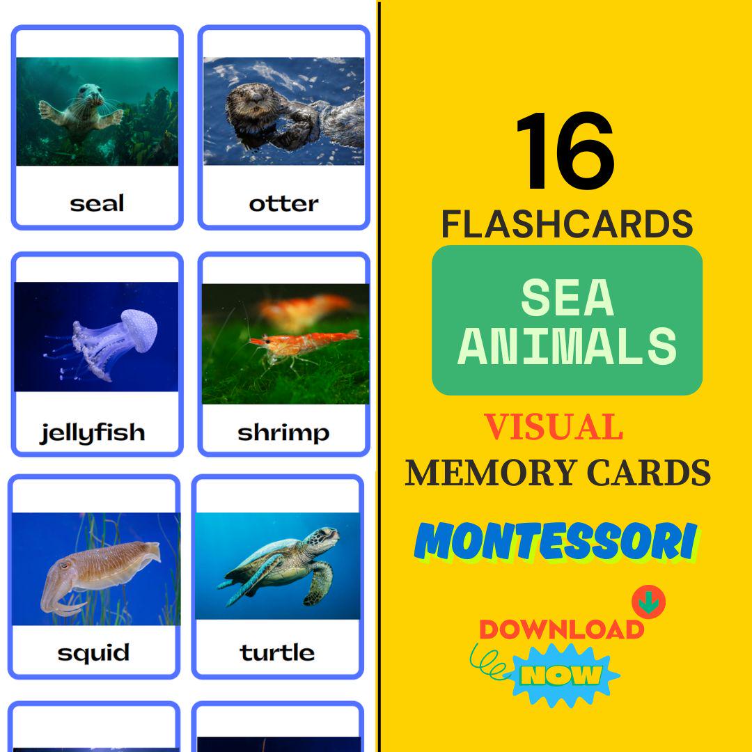 Sea Animals Flashcards: Montessori Real Photo Cards (digital Download ...
