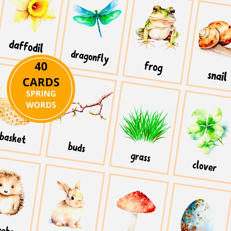 Spring Vocabulary Flashcards, English Learning Cards (PDF) - Etsy