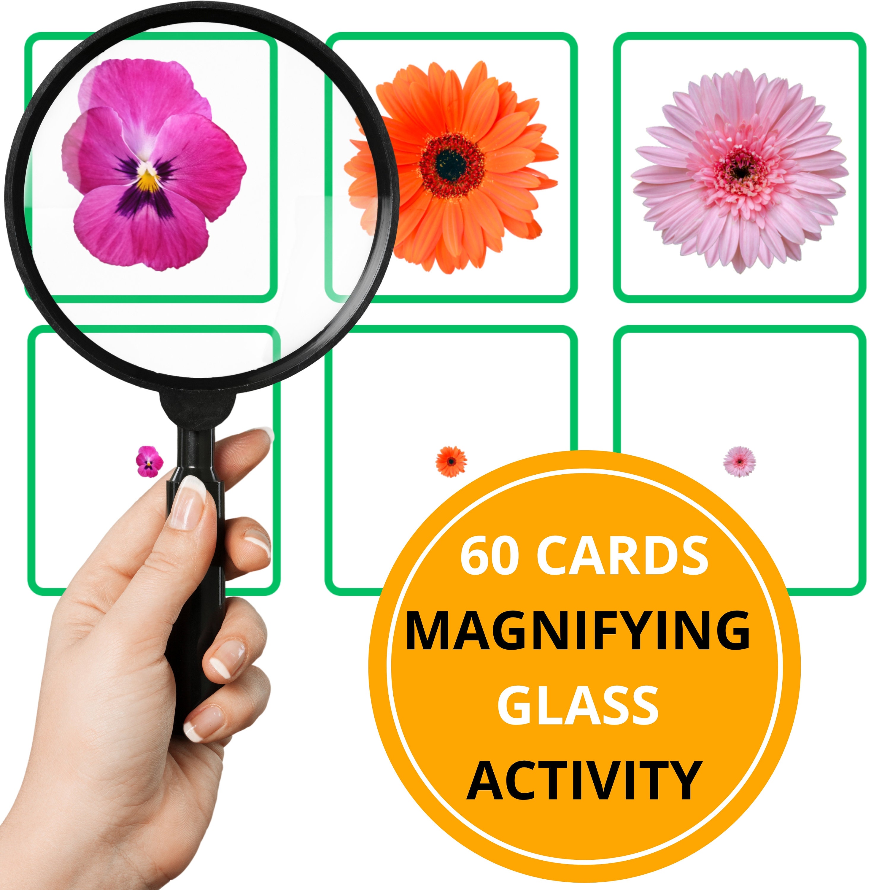 Flowers Magnifying Glass Matching Game, Montessori Preschool Activity ...