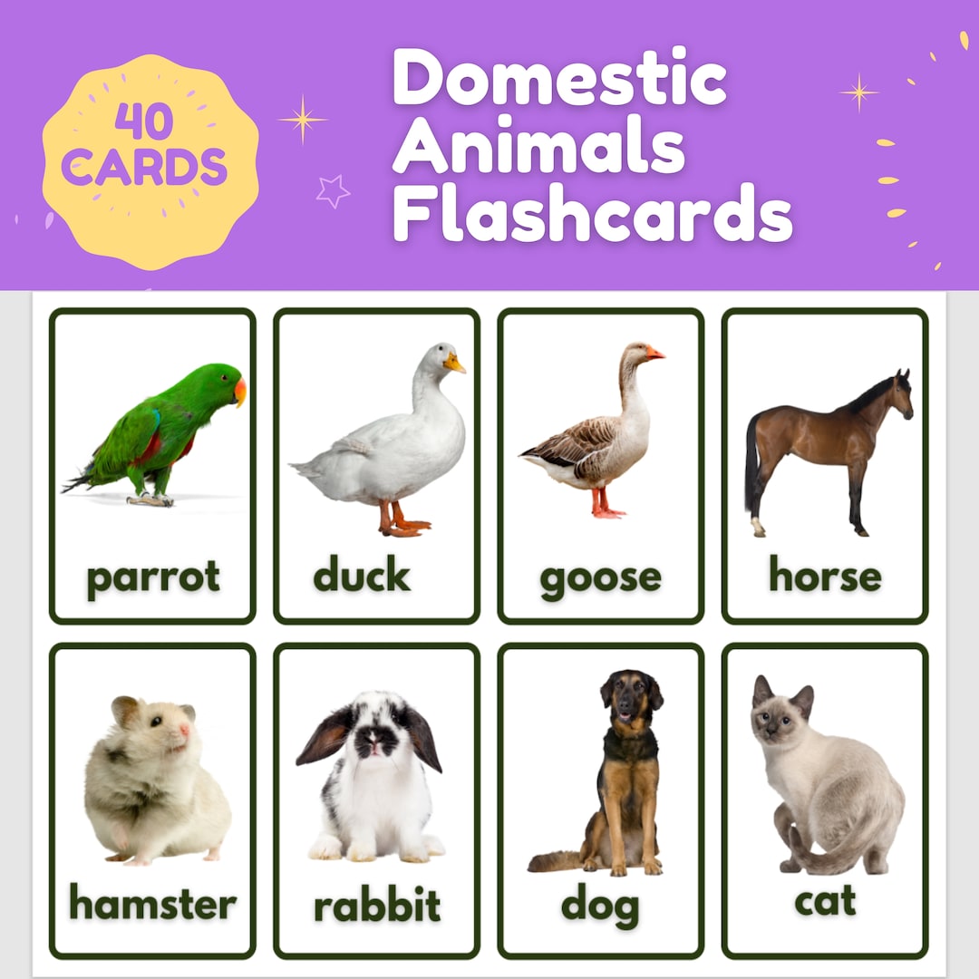 Domestic Animals & Birds Flashcards | Montessori Cards (printable). - Etsy