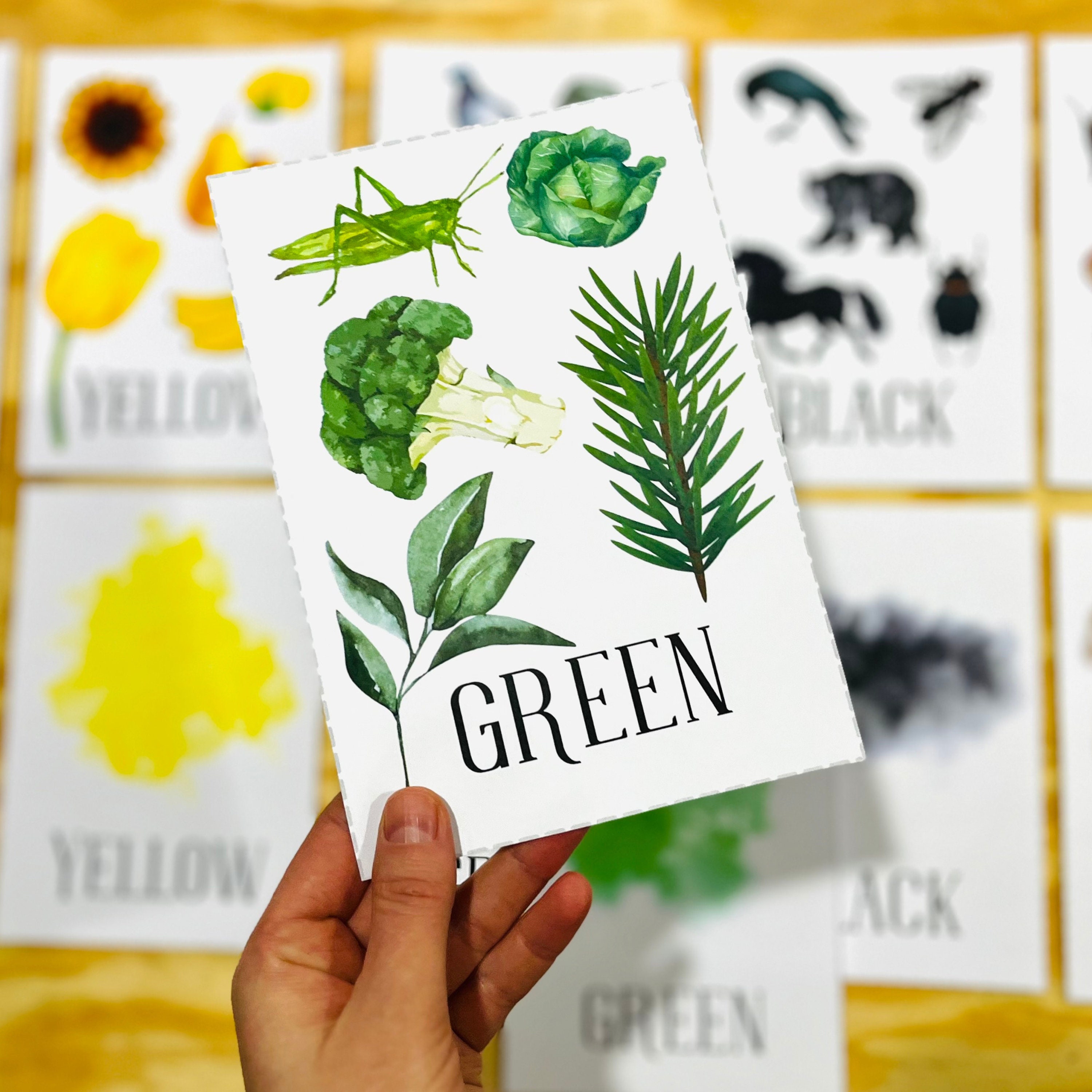 Colors in Nature Flash Cards for Kids, Montessori English PDF Teaching ...