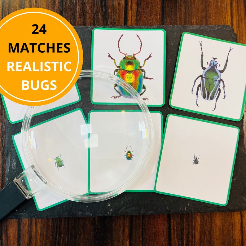 Bugs Magnifying Matching Game, Montessori at Home Using Magnifying ...