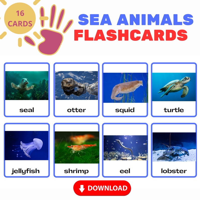 Sea Animals Flashcards With Real Photos Sea Animals Cards Sea Life ...