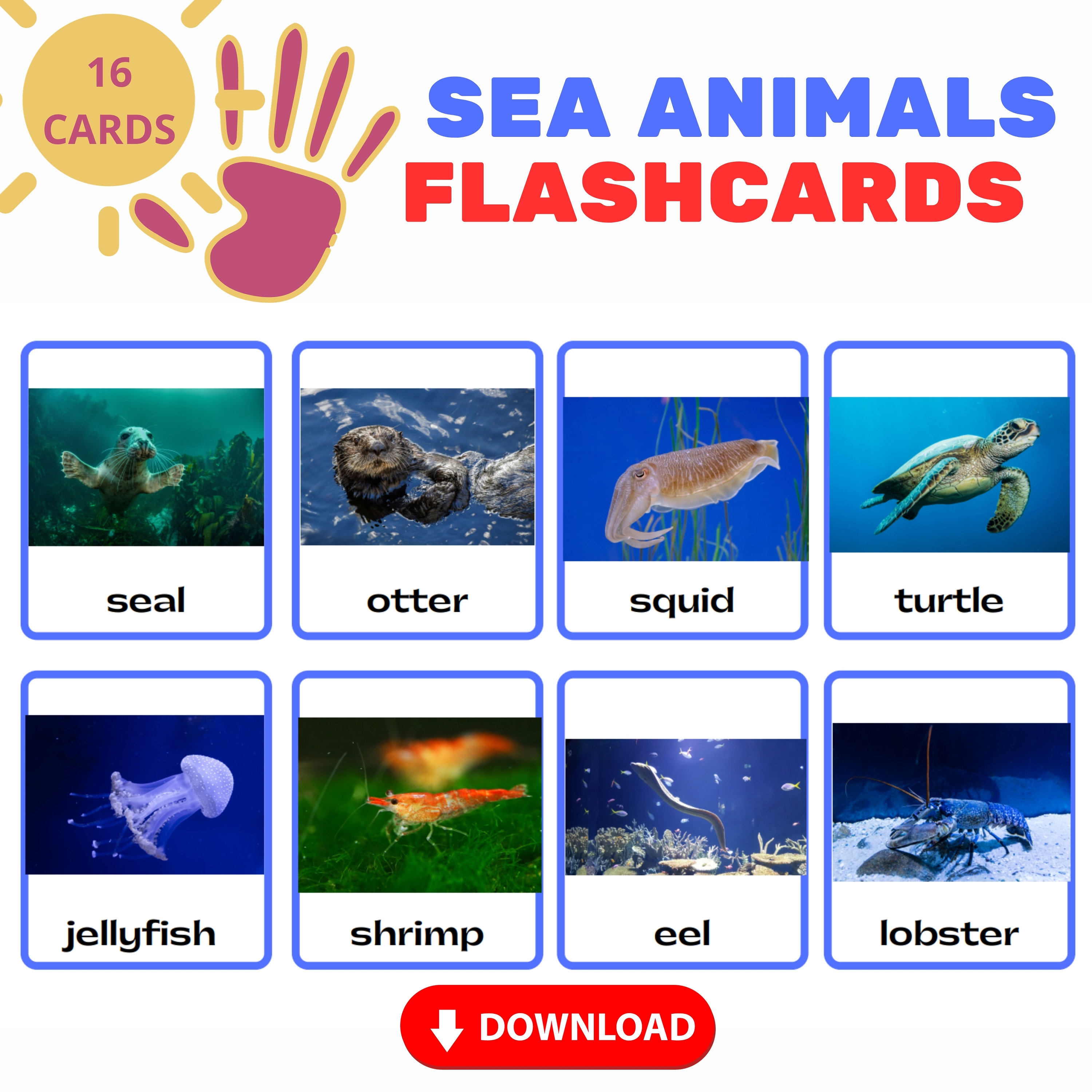 Sea Animals Flashcards With Real Photos Sea Animals Cards Sea Life ...