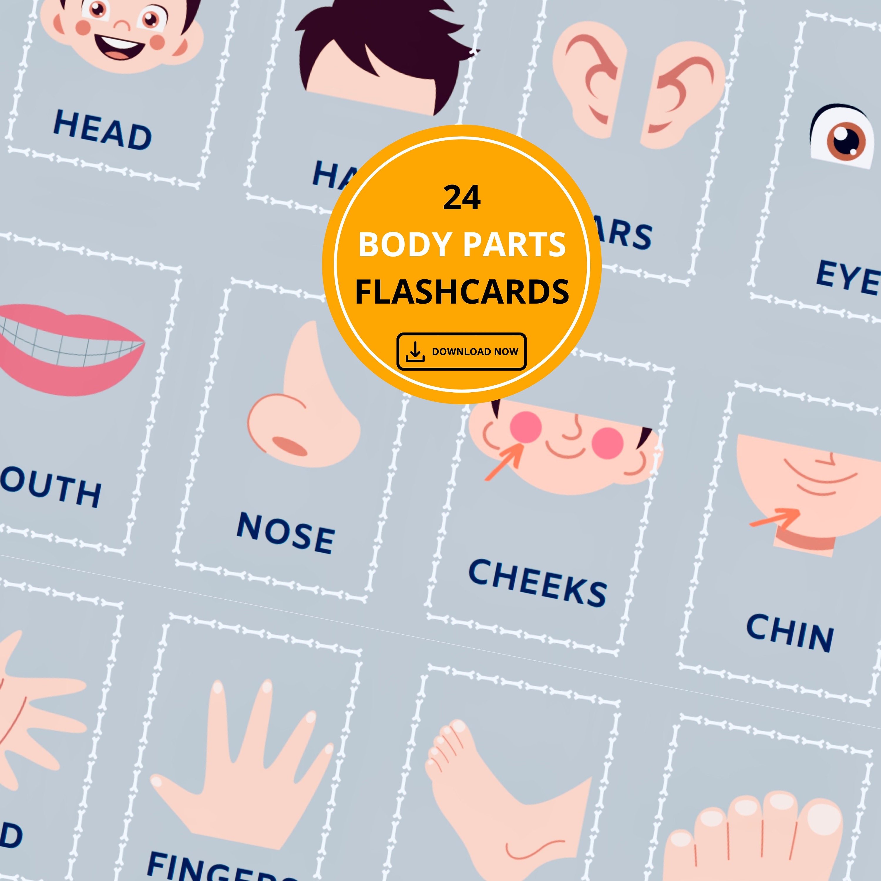 24 Body Parts Flashcards for Kids English Body Parts Body Parts Cards ...