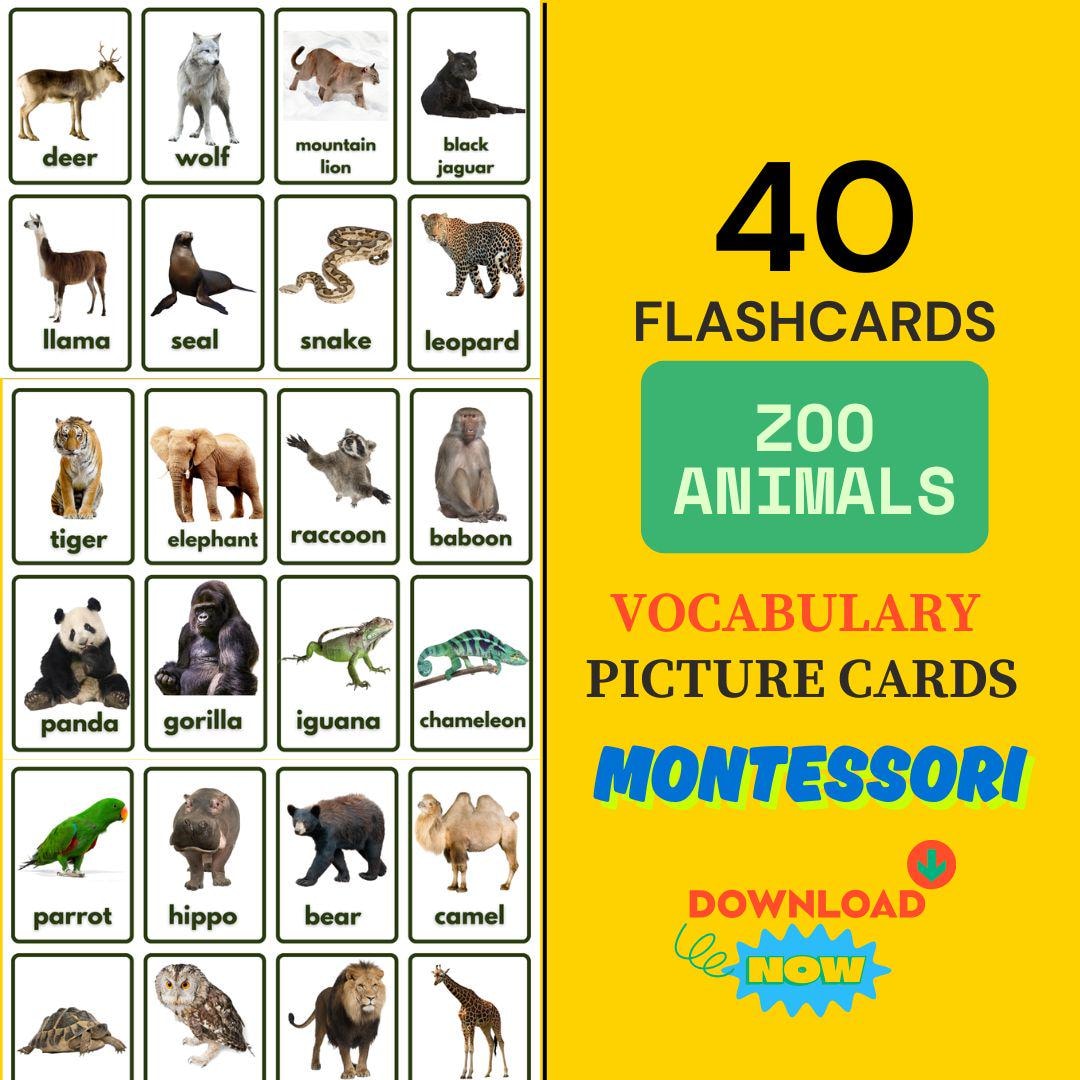 40 Zoo Animals Flashcards Kids Printable Nomenclature Cards ESOL ...