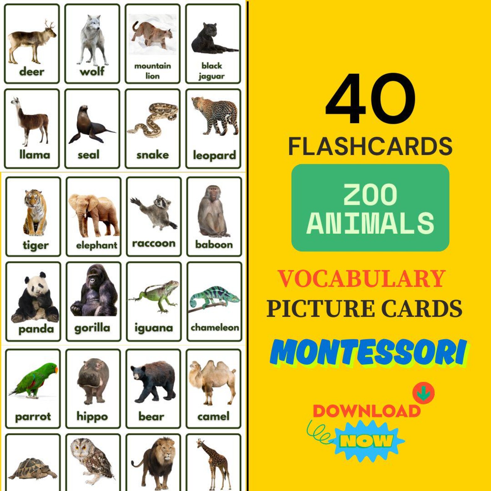 Zoo Animals Flashcards | Montessori Cards, ESOL Printable (digital ...