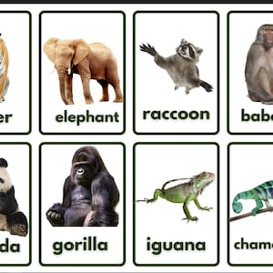 40 Zoo Animals Flashcards Kids Printable Nomenclature Cards ESOL ...