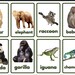 40 Zoo Animals Flashcards Kids Printable Nomenclature Cards ESOL ...