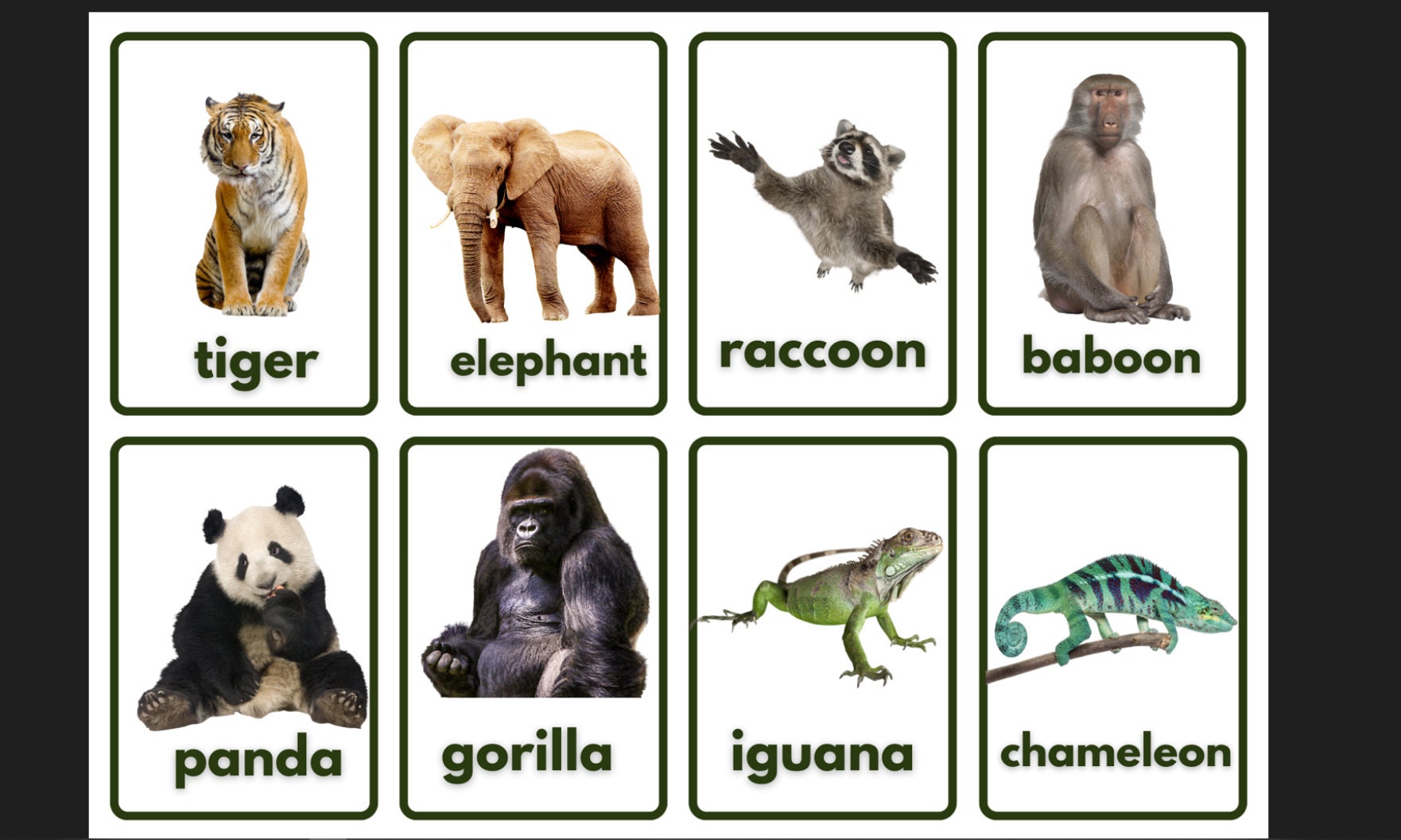 40 Zoo Animals Flashcards Kids Printable Nomenclature Cards ESOL ...