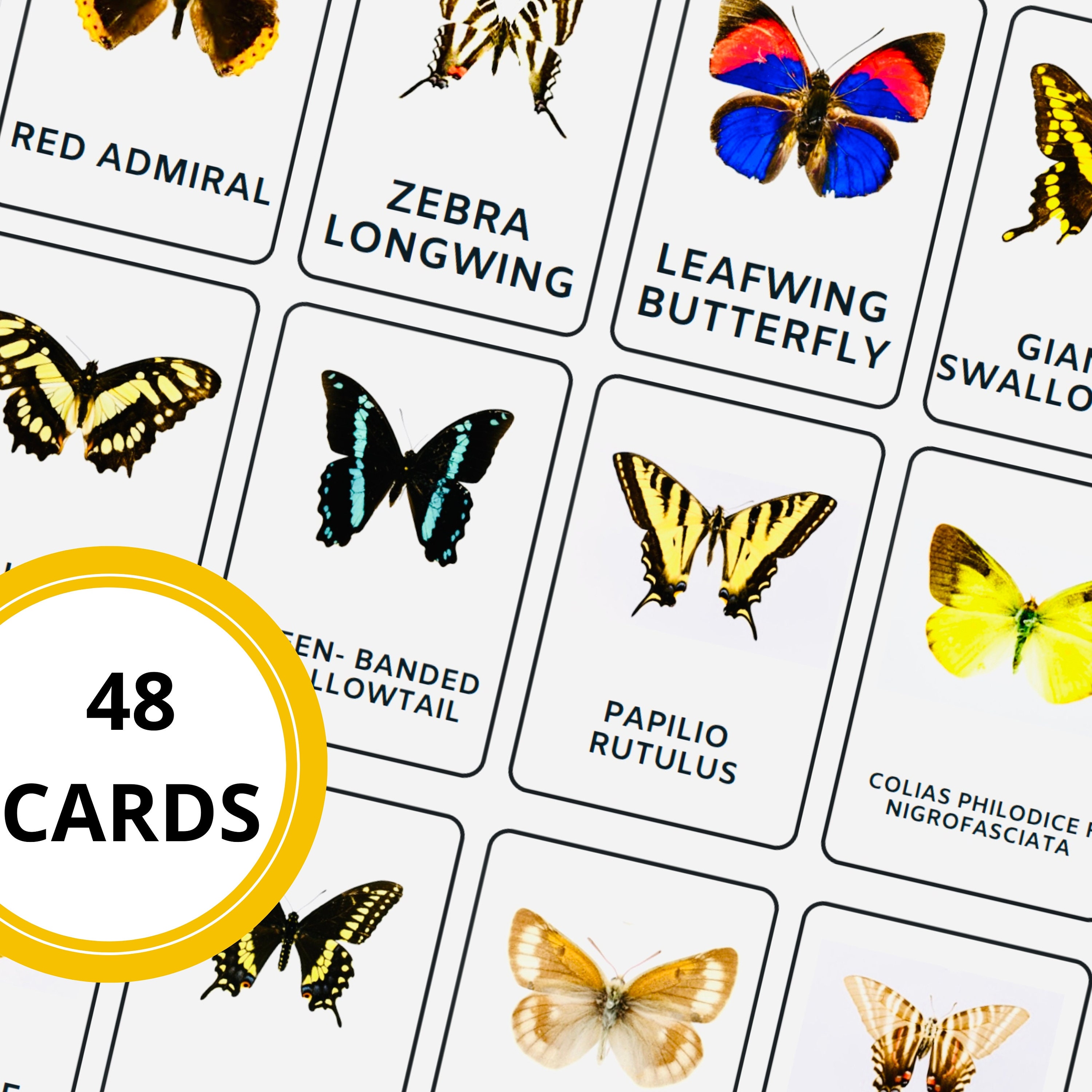 Butterfly Flash Cards Butterflies Study Montessori Printable Resources ...