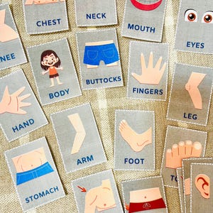 24 Body Parts Flashcards for Kids English Body Parts Body Parts Cards ...