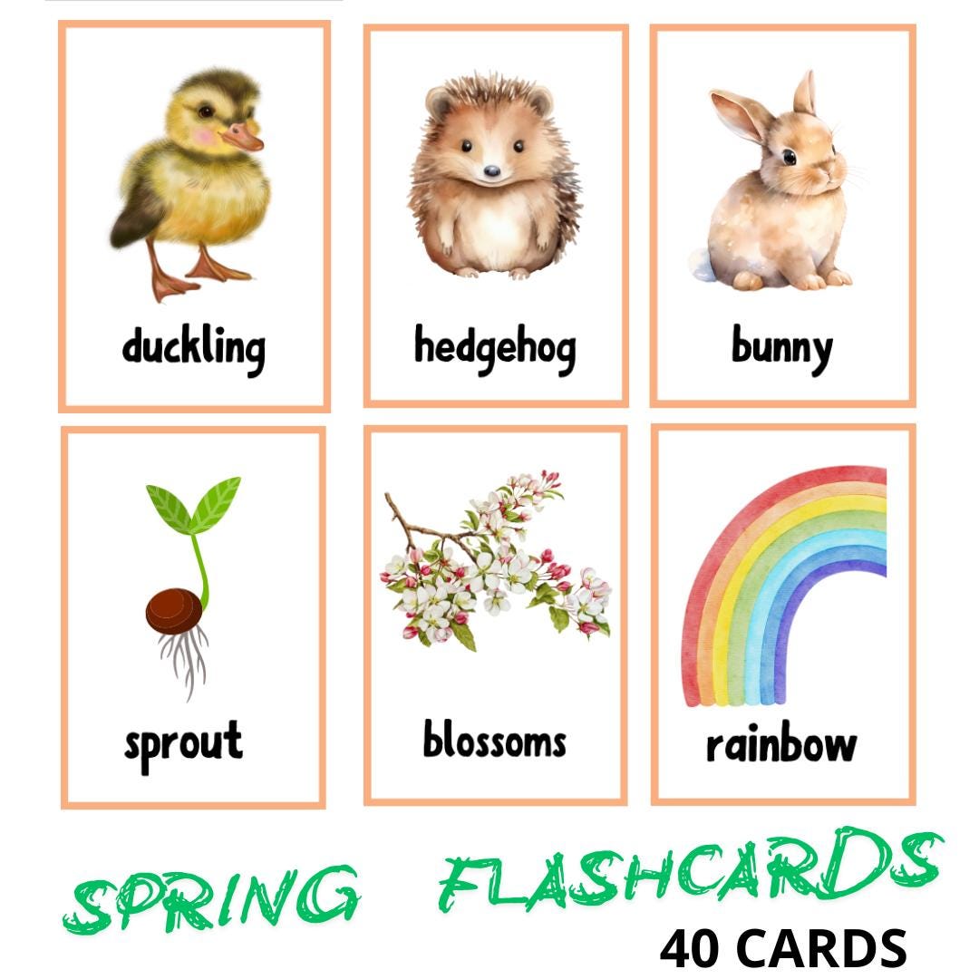 Spring Vocabulary Flashcards, English Learning Cards (PDF) - Etsy