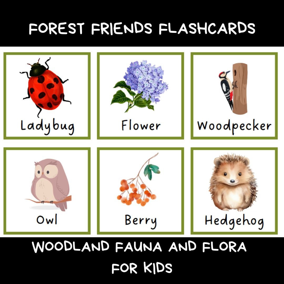 Forest Friends Animals Nature Flashcard Memory Game for Kids Nature ...