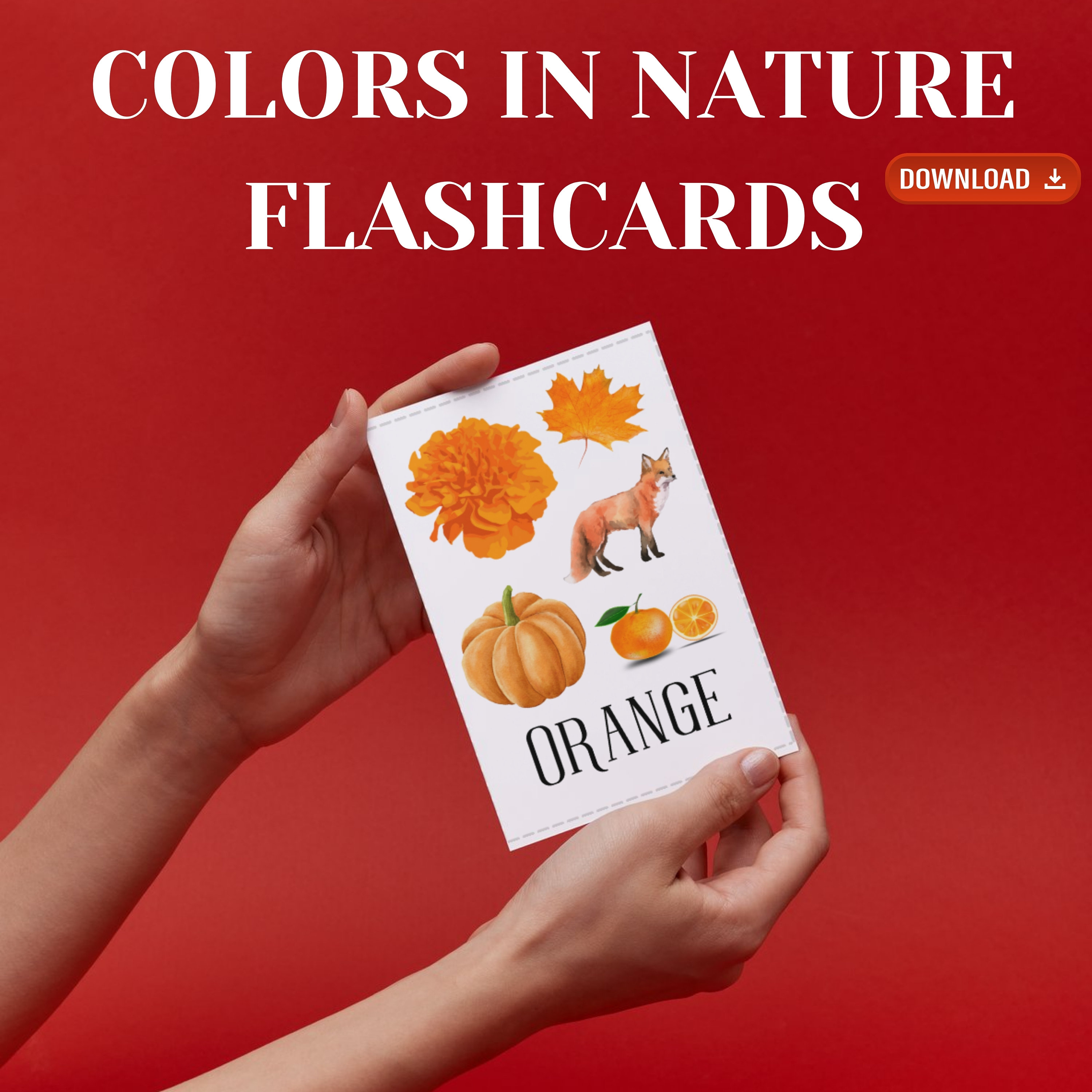 Colors in Nature Flash Cards, Montessori Learning (PDF). - Etsy