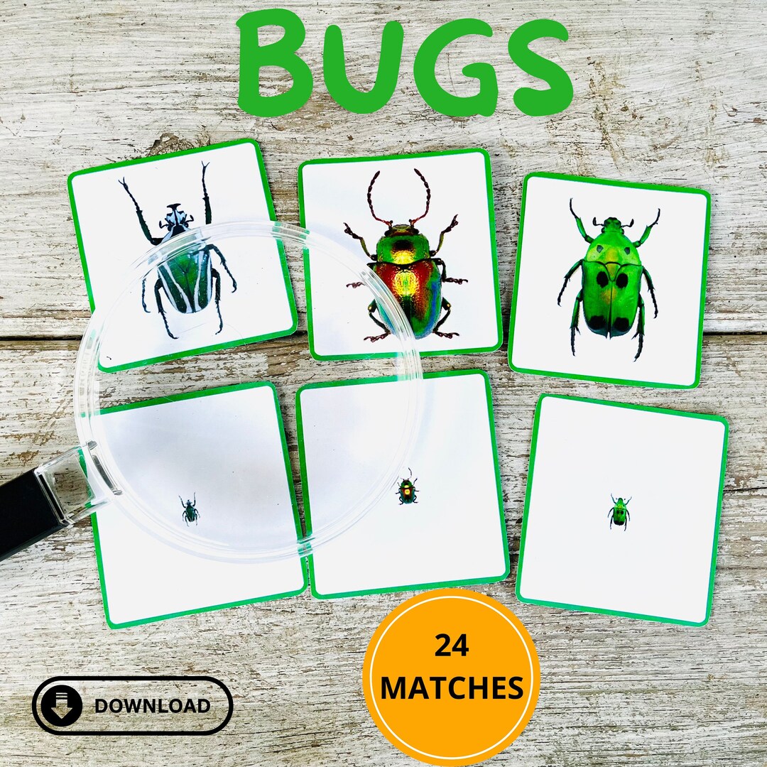 Bugs Magnifying Matching Game, Montessori at Home Using Magnifying ...
