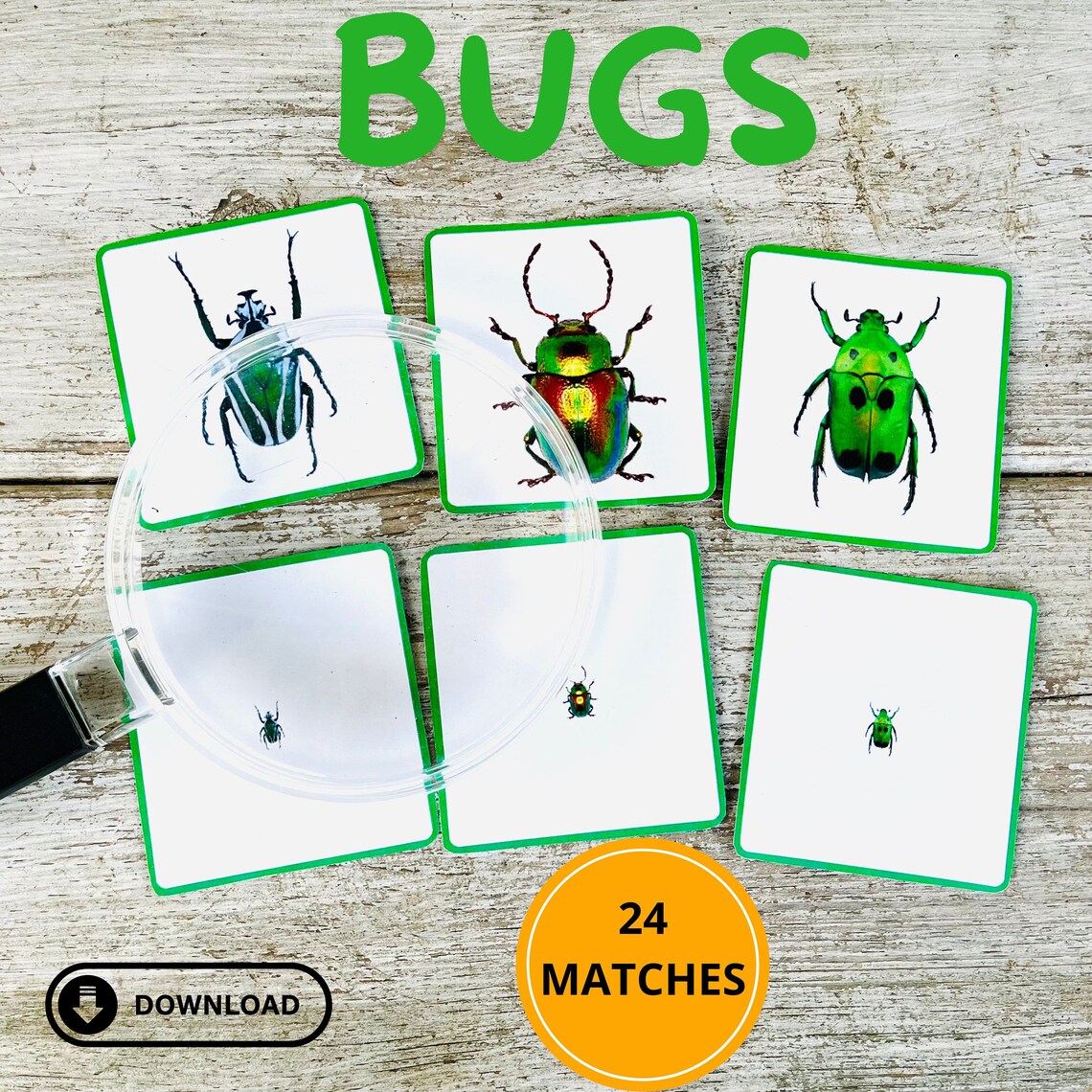 Bugs Magnifying Matching Game, Montessori at Home Using Magnifying ...