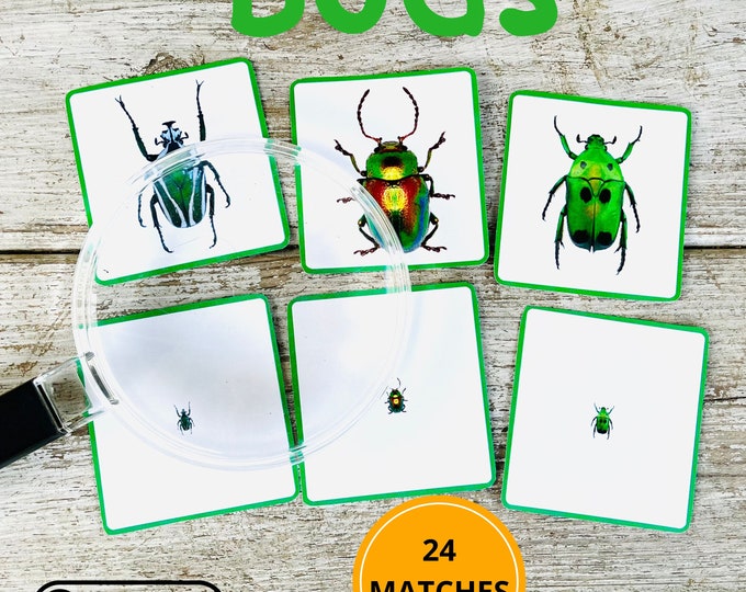 Bugs/ Insects Printable Guessing Game Insert Card Set - Etsy