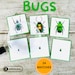 Bugs Magnifying Matching Game, Montessori at Home Using Magnifying ...