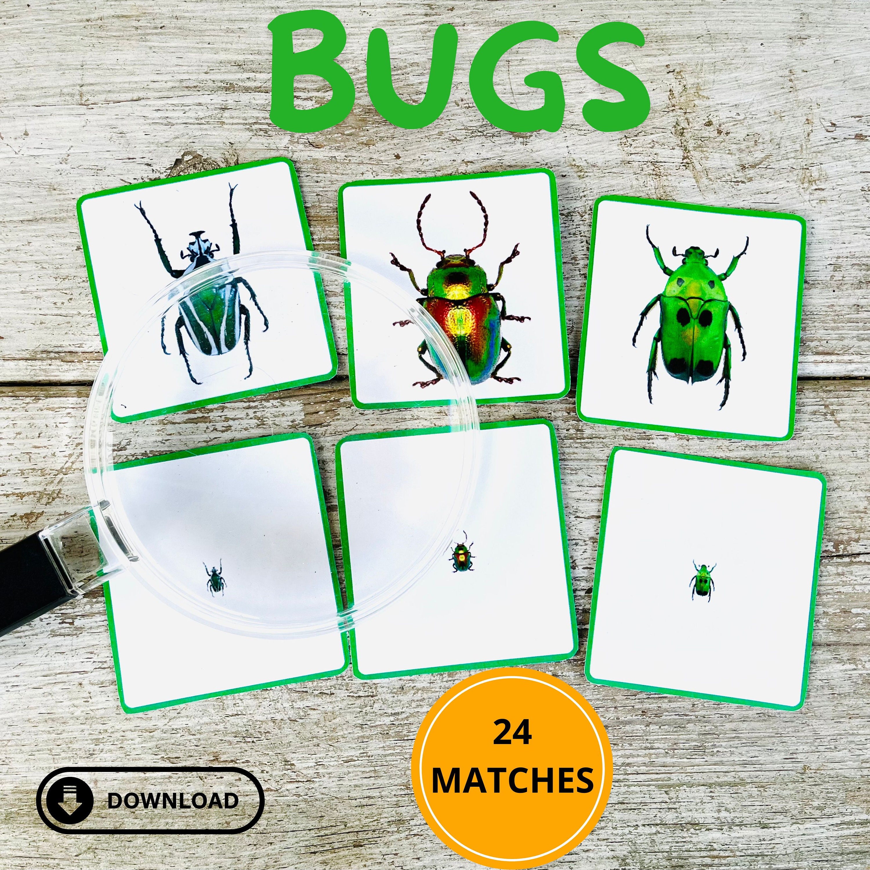 Bugs Magnifying Matching Game, Montessori at Home Using Magnifying ...