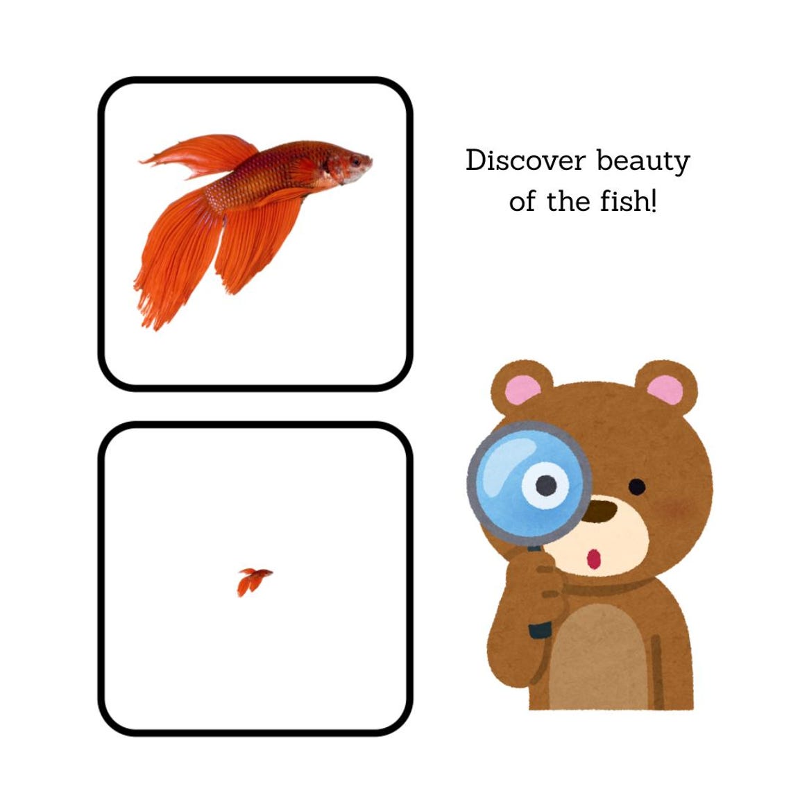 Fish Matching Game for Kids, Magnifying Cards Montessori Activity ...
