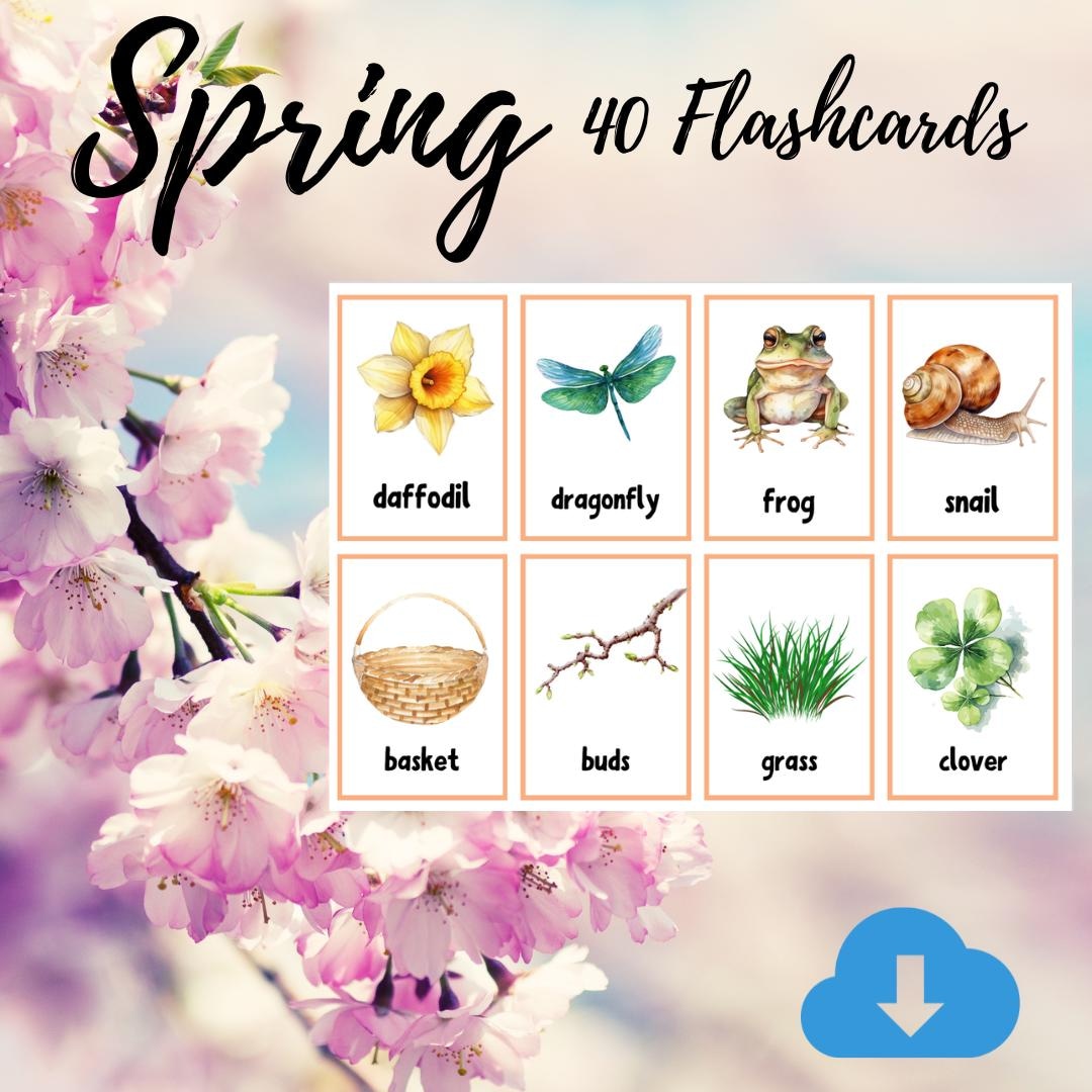 Spring Flash Cards for Decorations, Spring Vocabulary Cards for English ...