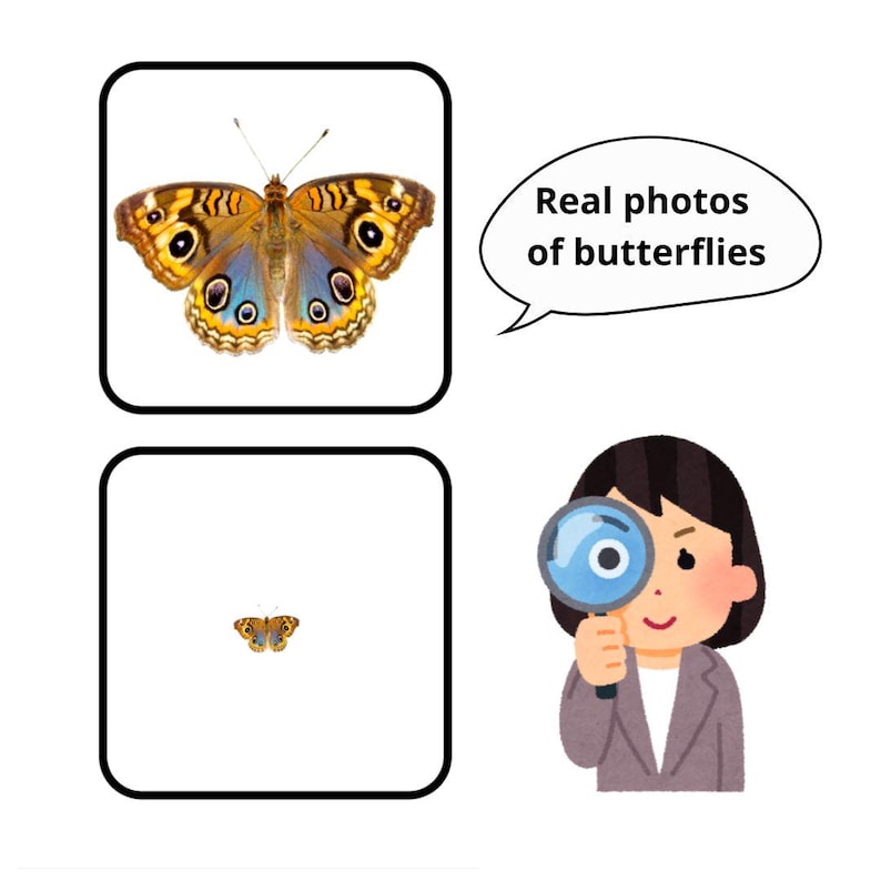 Butterfly Magnifying Matching Game, Montessori Zoology, Magnifying ...