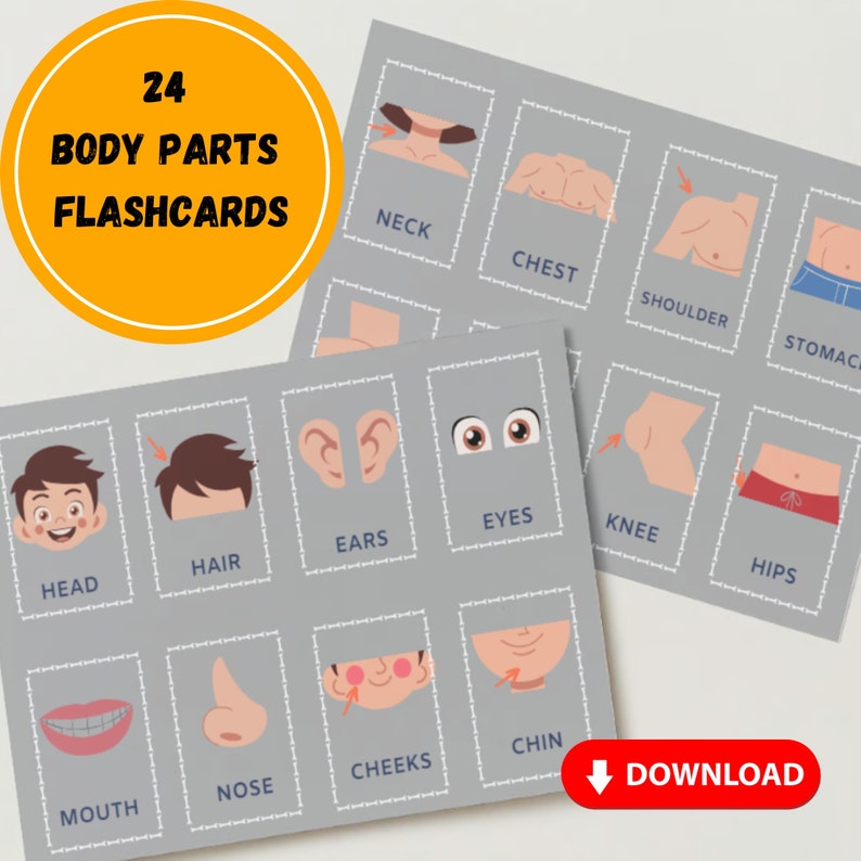 24 Body Parts Flashcards for Kids English Body Parts Body Parts Cards ...