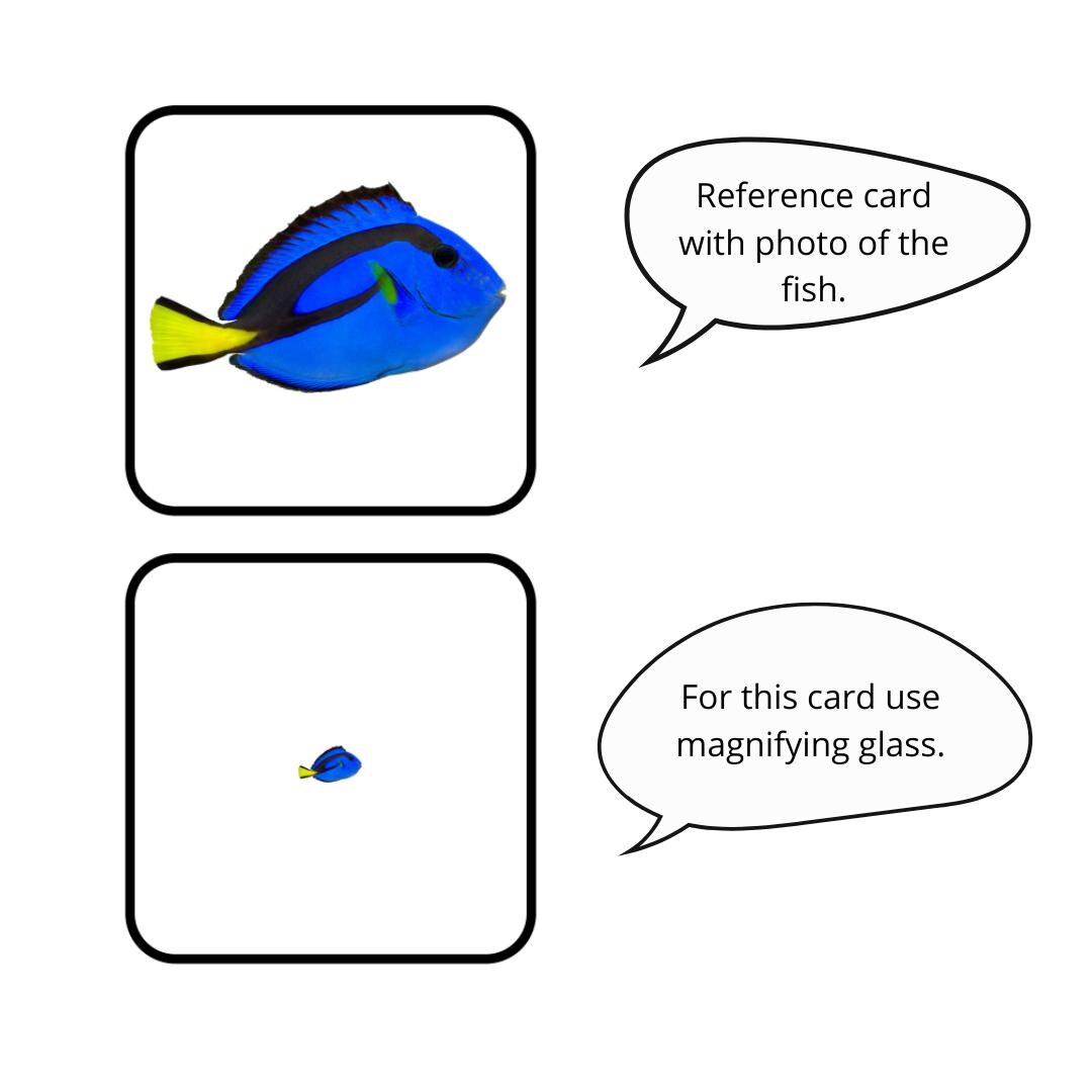 Fish Matching Game for Kids, Magnifying Cards Montessori Activity ...