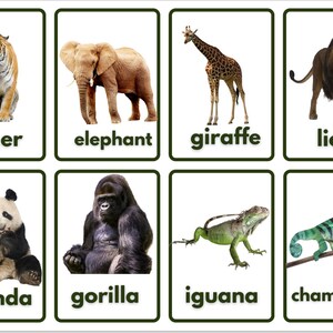 Animals Flashcards for Kids, Animal Vocabulary Cards, Montessori ...