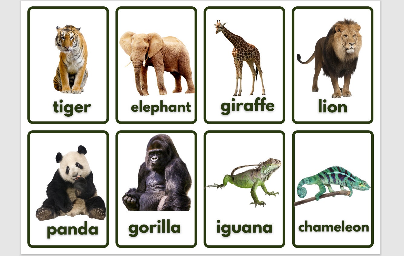 Animals Flashcards for Kids, Animal Vocabulary Cards, Montessori ...
