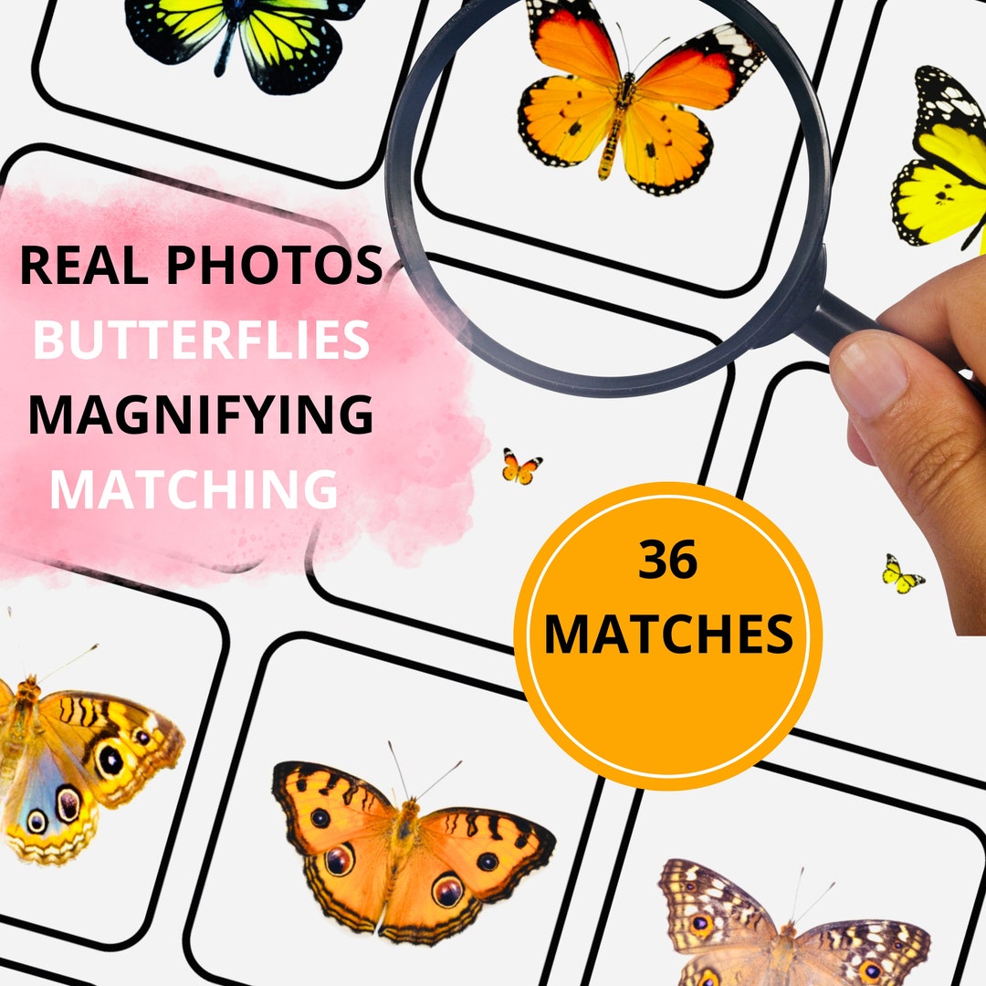 Butterfly Magnifying Matching Game, Montessori Zoology, Magnifying ...