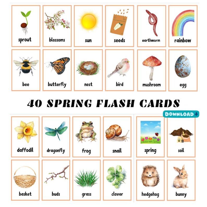 Spring Vocabulary Flashcards, English Learning Cards (PDF) - Etsy
