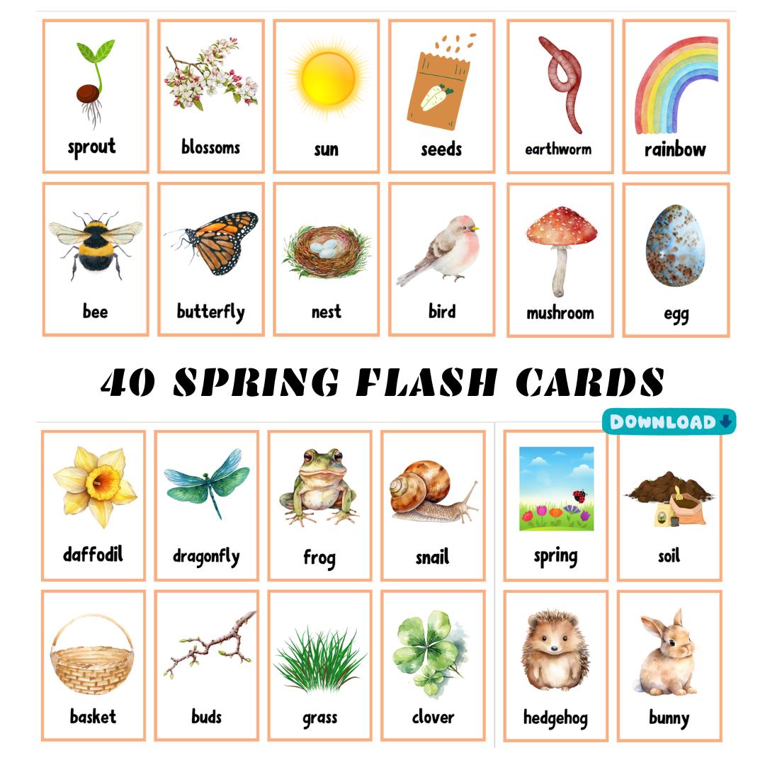Spring Vocabulary Flashcards, English Learning Cards (PDF) - Etsy