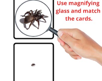 Spiders Magnifying Matching Game, Montessori Activity (PDF) - Etsy